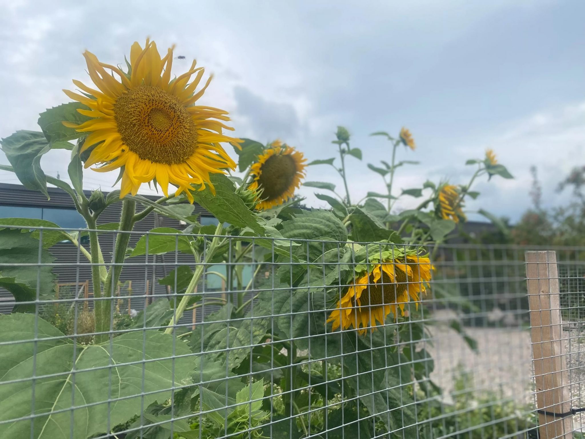A Bayview Yards Master Class: Discover Sustainable Innovation - Bayview ...